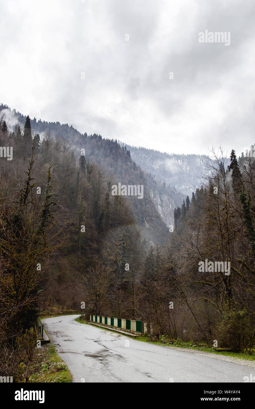 Off-road travel. Traveler discovers new unfamiliar places. Path through ...