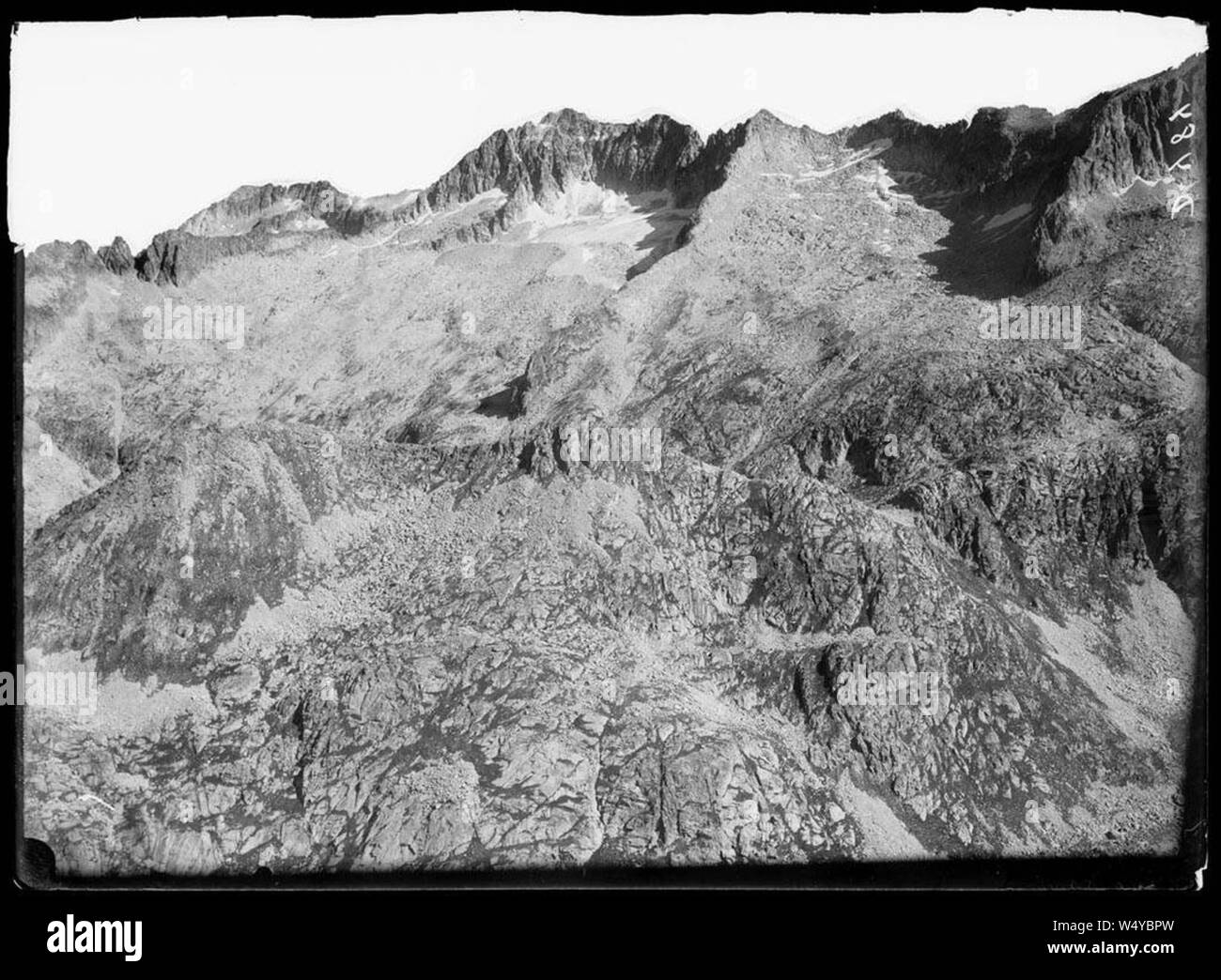 Cresta de hi-res stock photography and images - Alamy