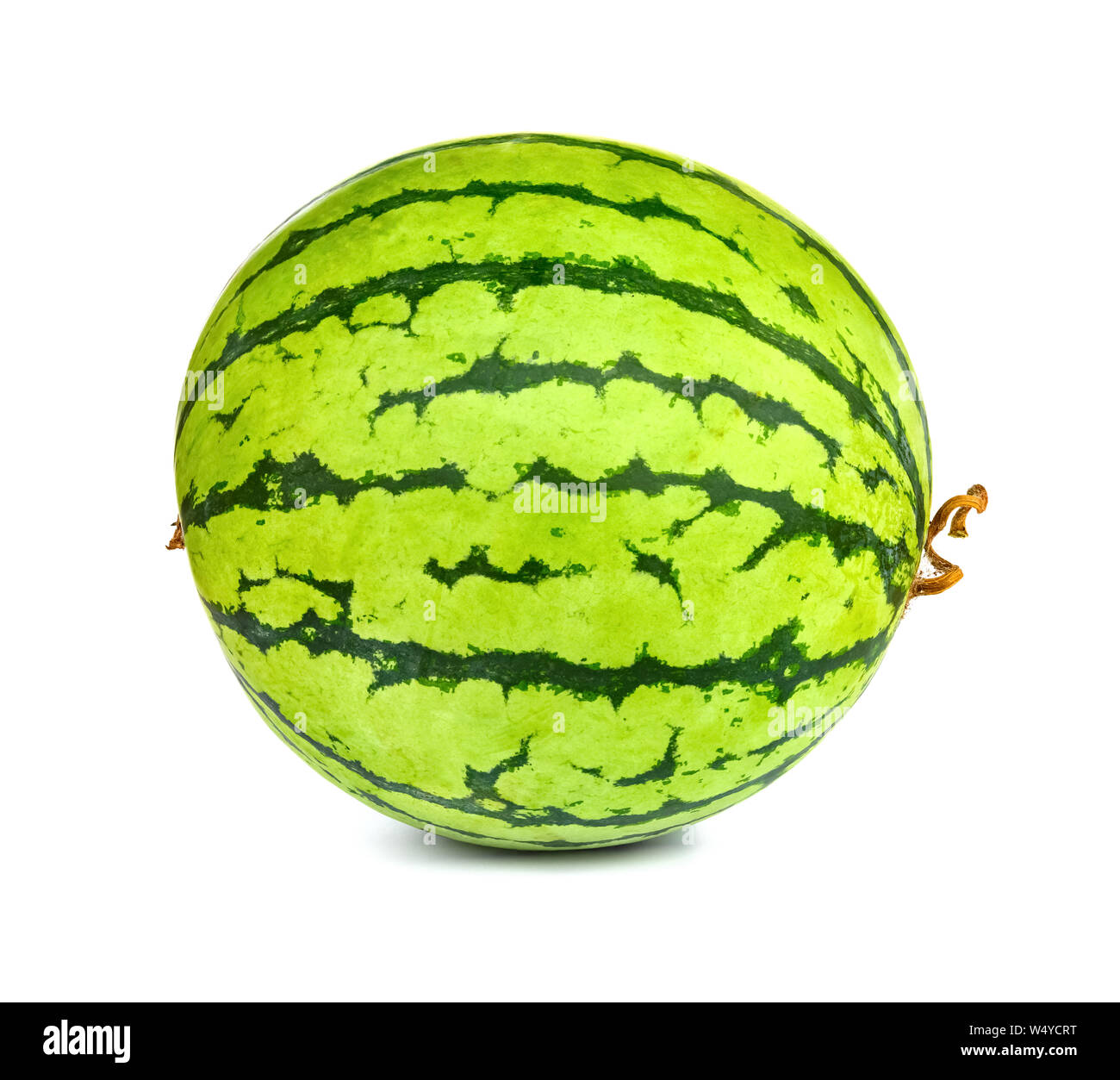 Big green round watermelon hi-res stock photography and images - Alamy
