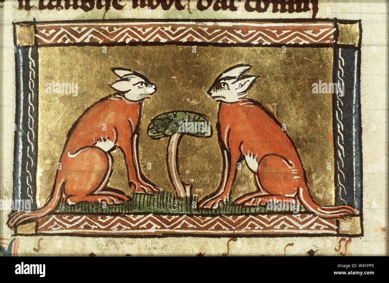 Crisetecus - Der naturen bloeme - Jacob van Maerlant - KB KA 16 - 053r a2 Stock Photo - Alamy