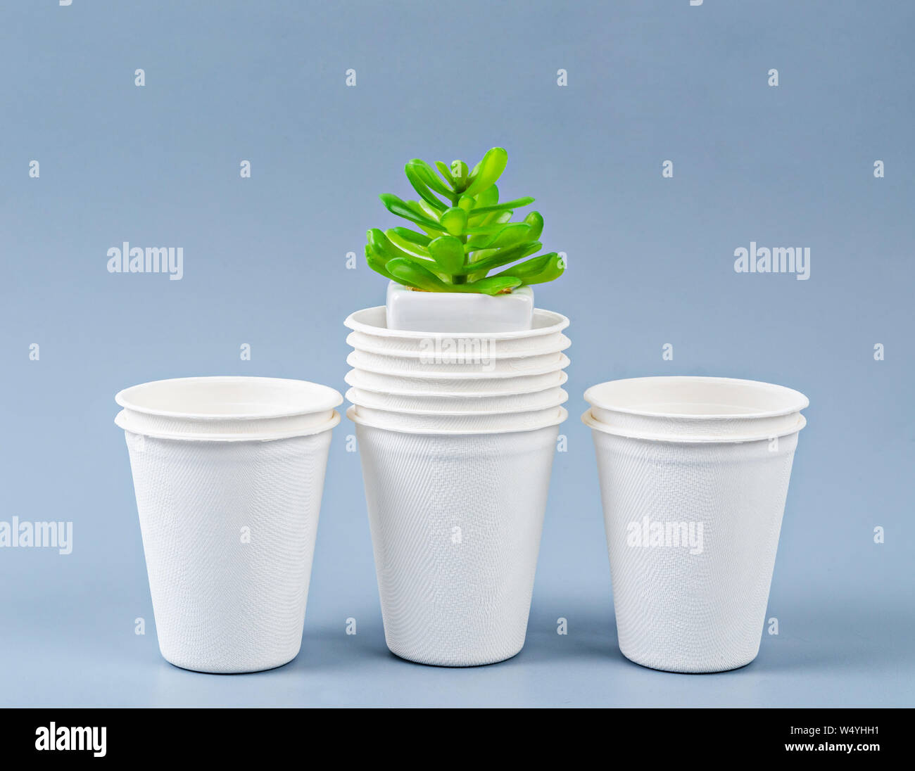 Biodegradable glass of water and plant. Eco friendly concept Stock ...