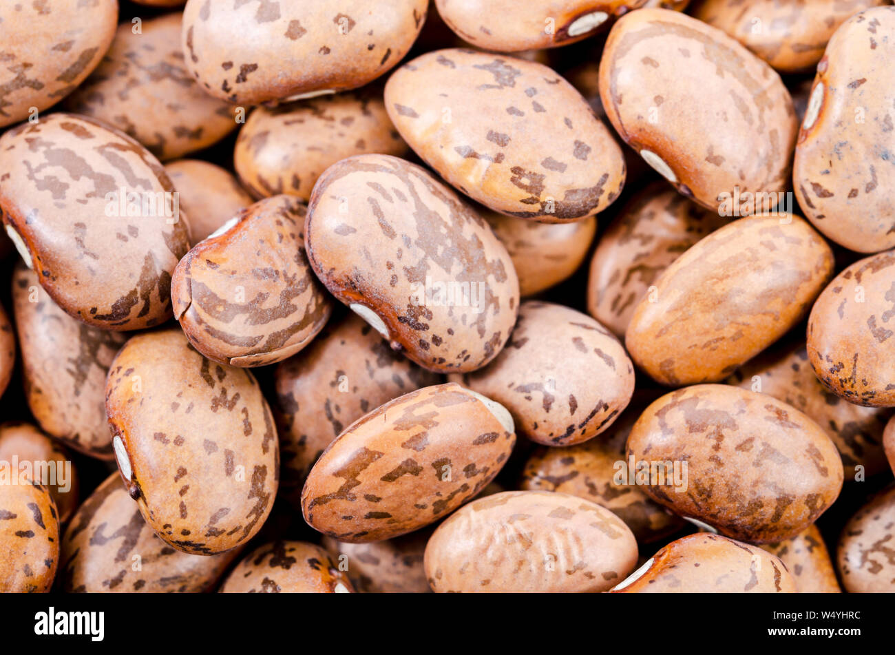 Cranberry Bean texture background. Also called Borlotti Bean or Shell ...