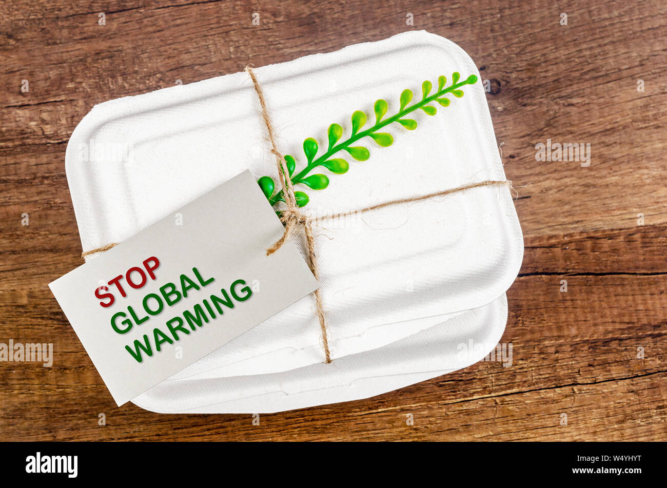 Biodegradable food box with Stop Global Warming tag. Eco friendly ...