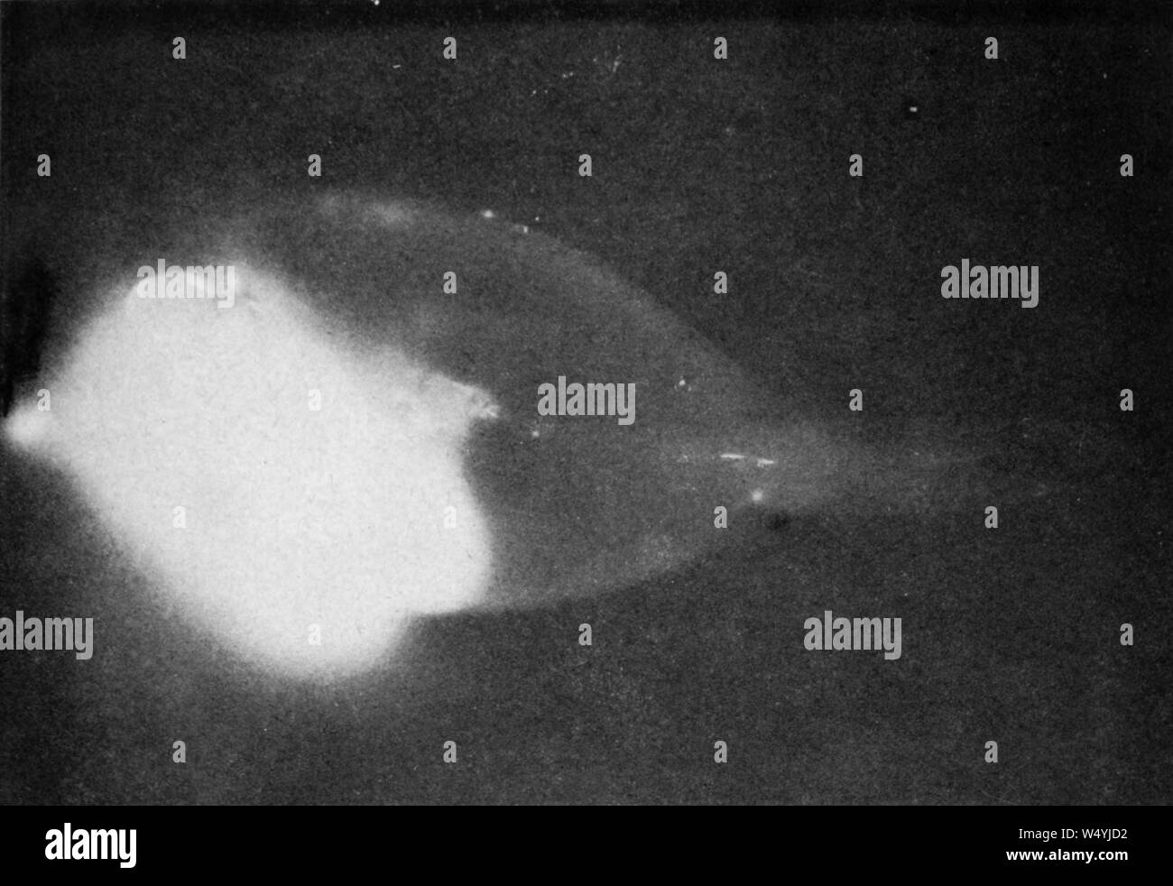 Radioactive fish hi-res stock photography and images - Alamy