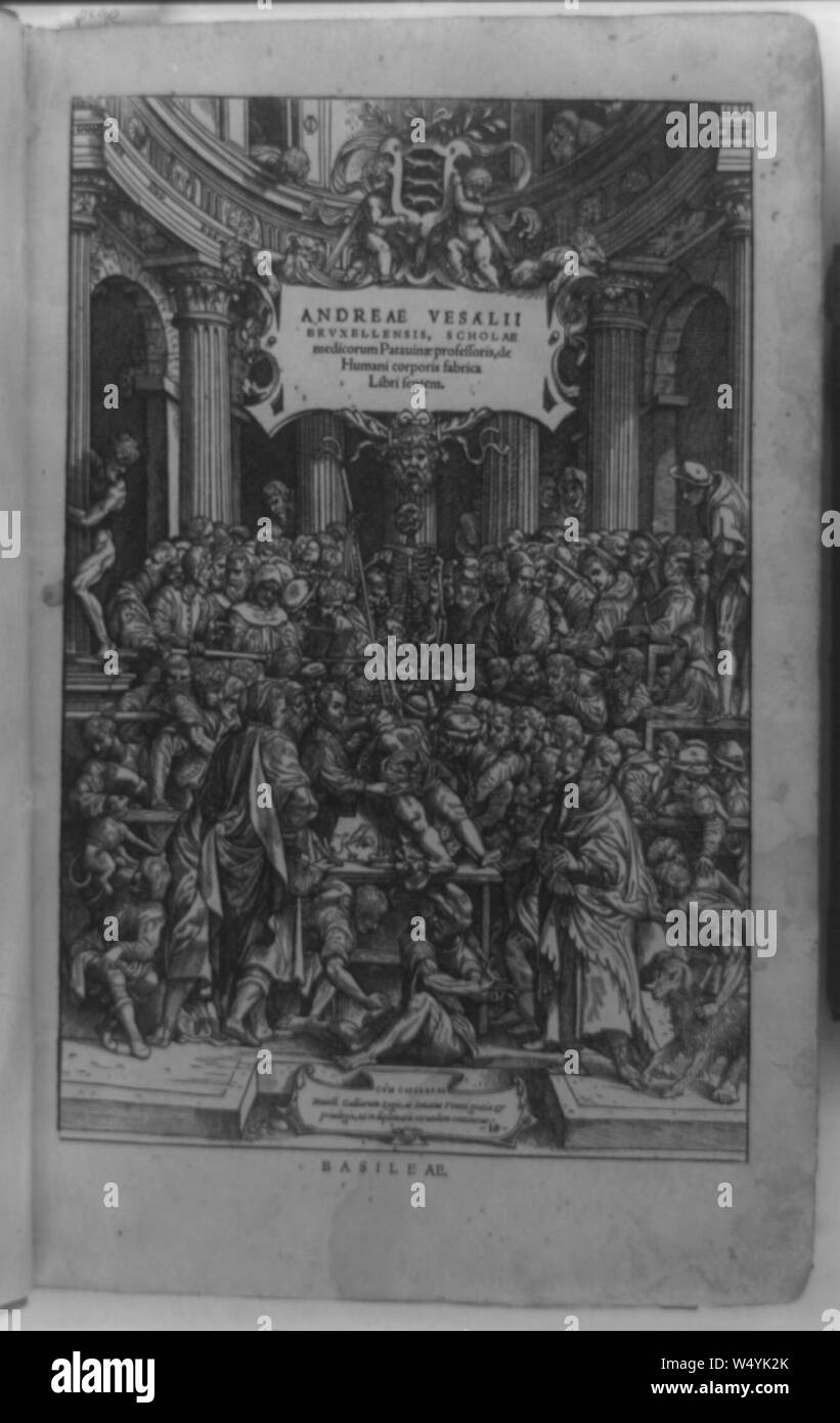 Cadaver dissection hi-res stock photography and images - Alamy