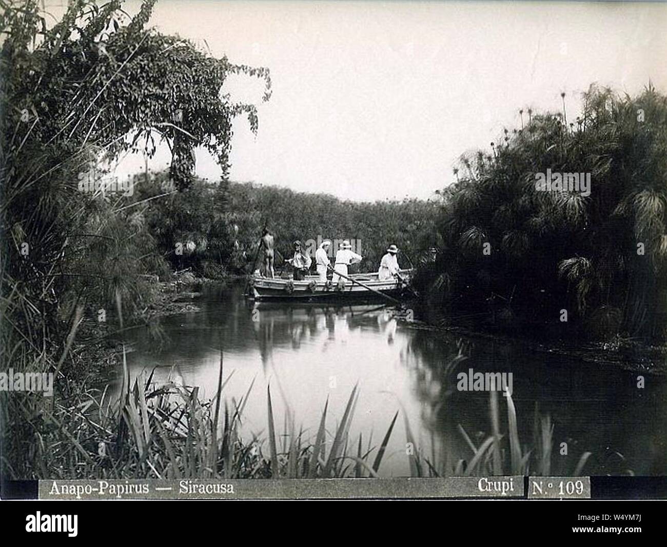 Crupi Giovanni (1849-1925) - n. 109 - Anapo - Papirus (sic) - Siracusa ...
