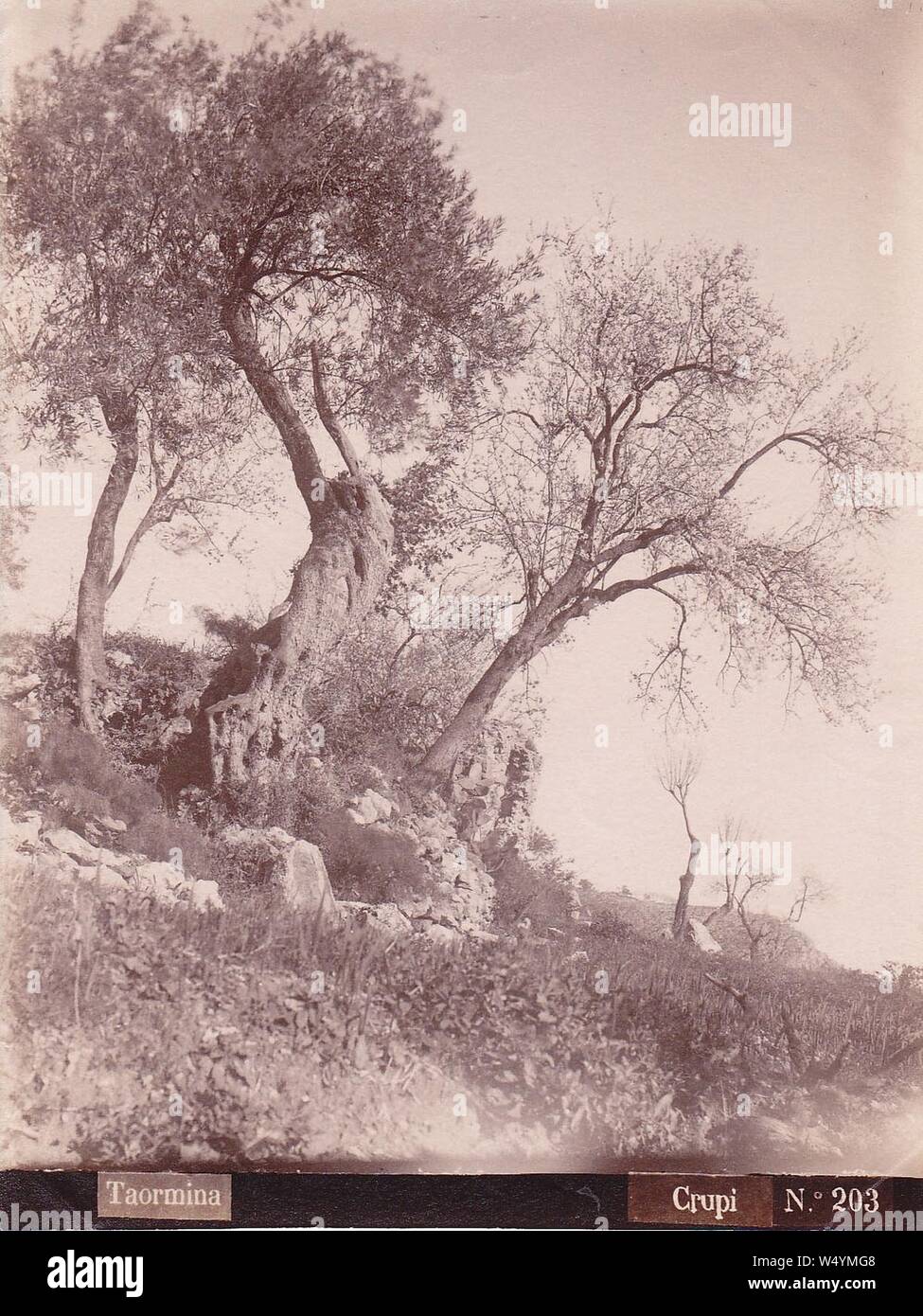 Giovanni crupi 1849 1925 hi-res stock photography and images - Alamy