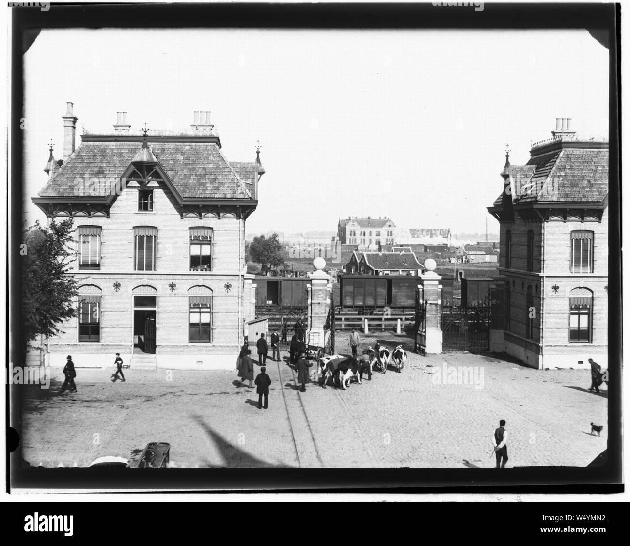 46 1 Cut Out Stock Images & Pictures - Alamy