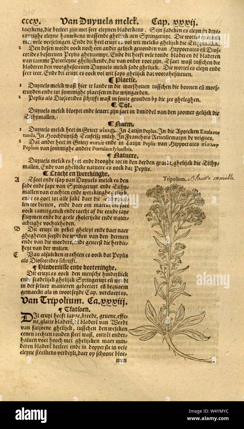 Cccx hi-res stock photography and images - Alamy