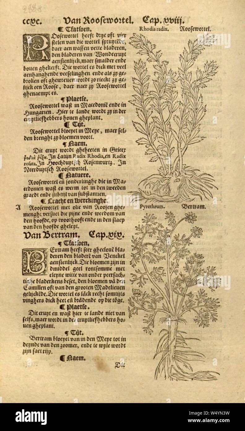 Ccxc hi-res stock photography and images - Alamy