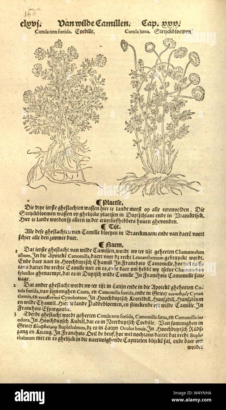 Crŭÿde boeck (Page clxvi Stock Photo - Alamy