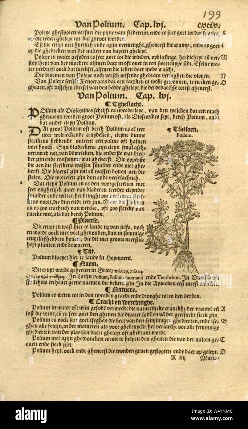 Cxcix hi-res stock photography and images - Alamy