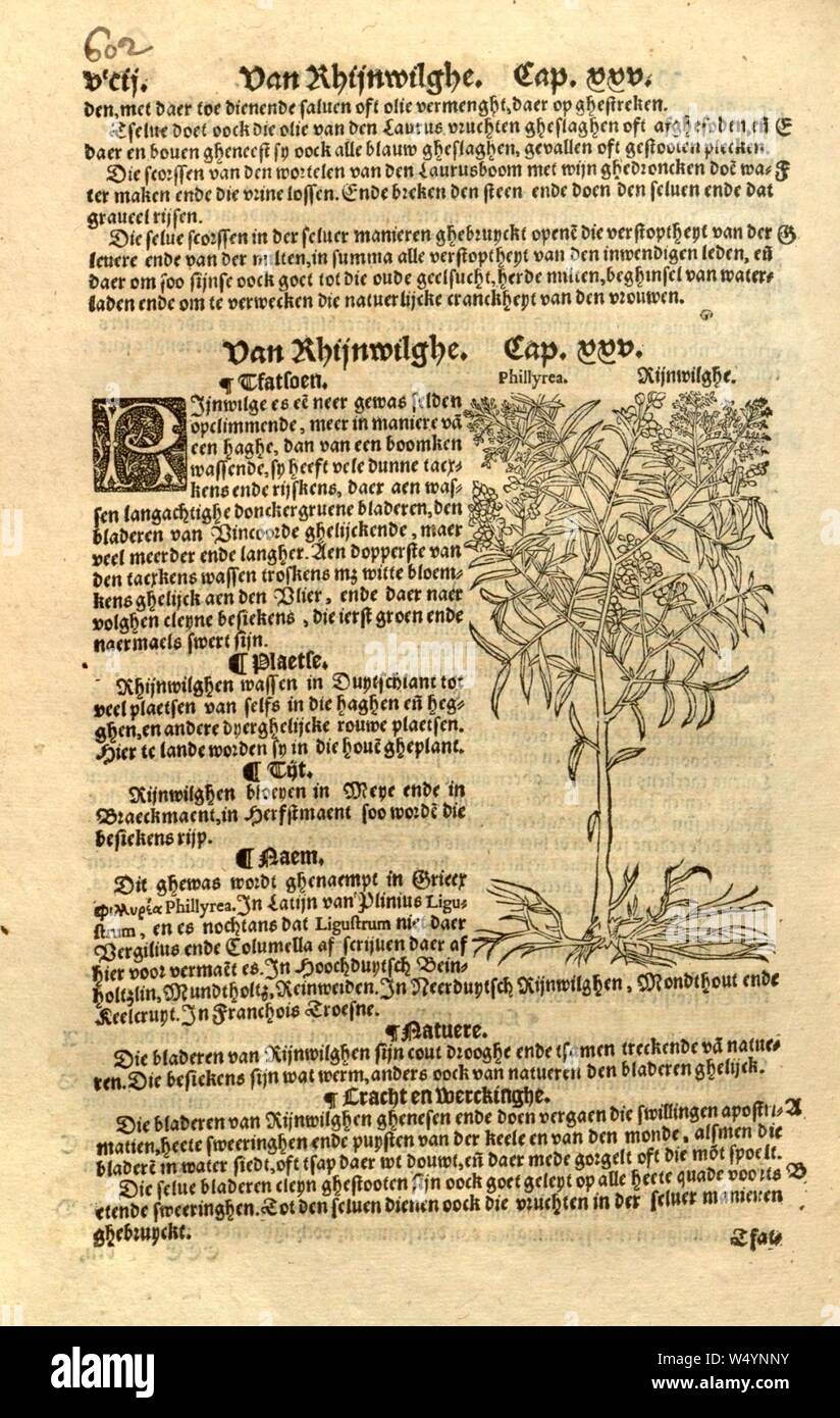 Dcii hi-res stock photography and images - Alamy