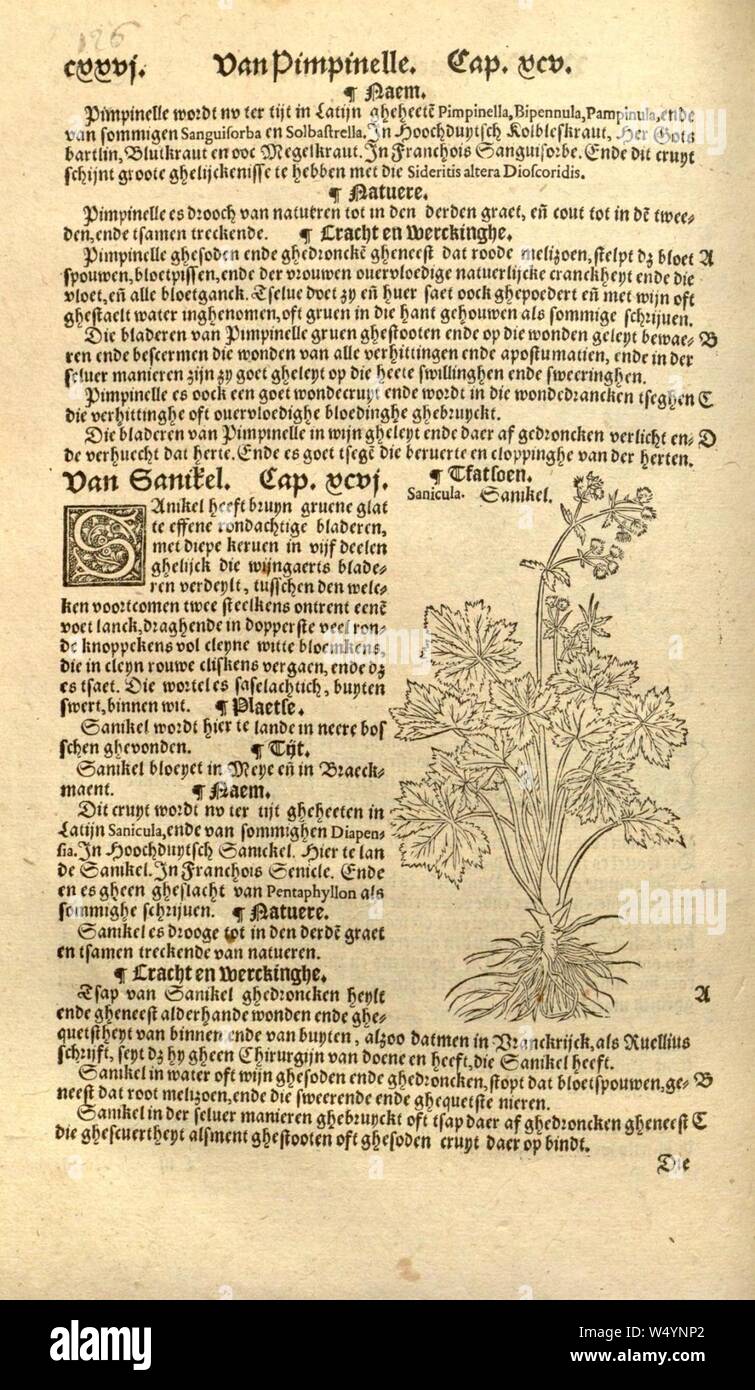 Crŭÿde boeck (Page cxxvi Stock Photo - Alamy