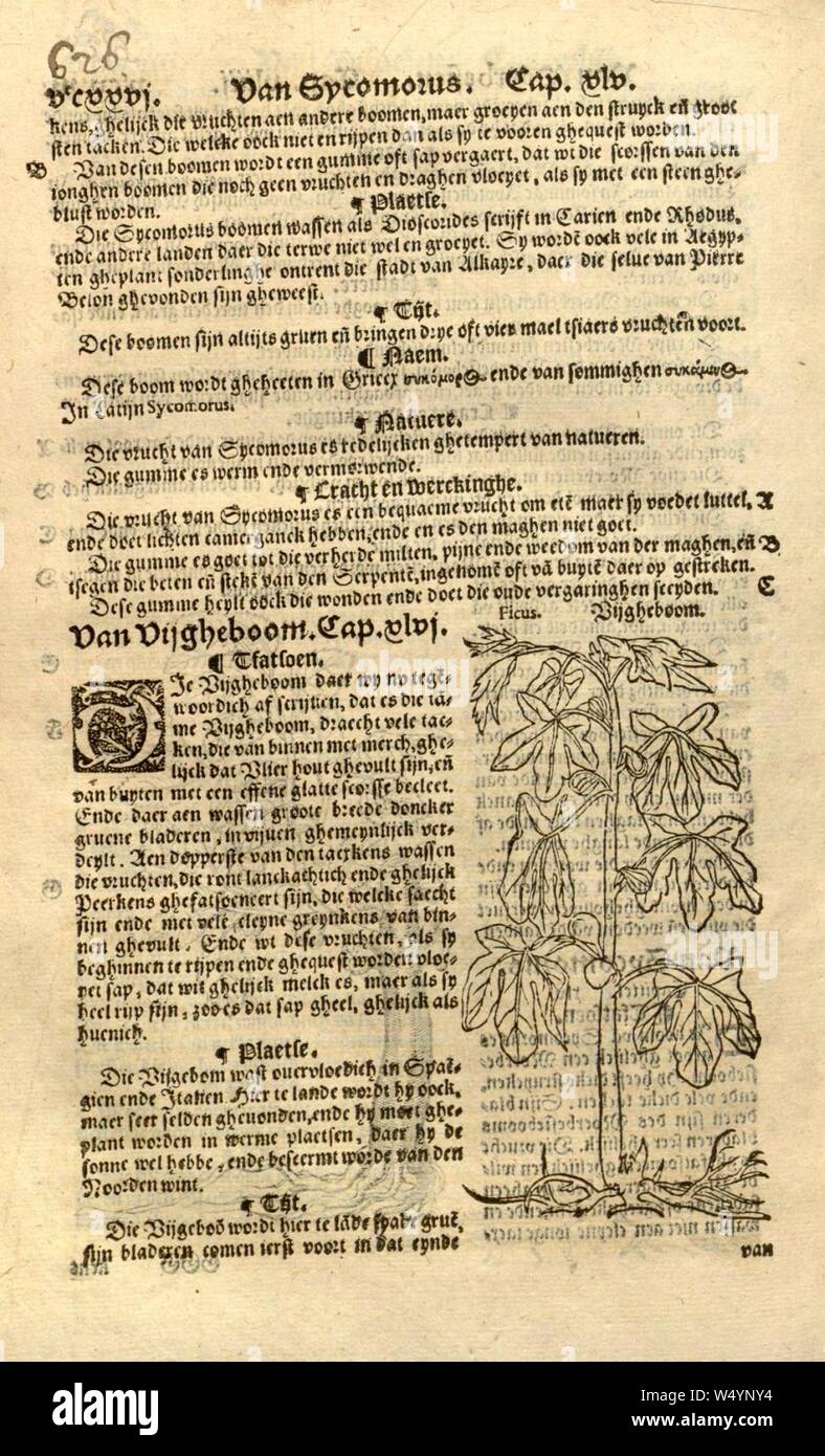 Crŭÿde boeck (Page dcxxvi Stock Photo - Alamy