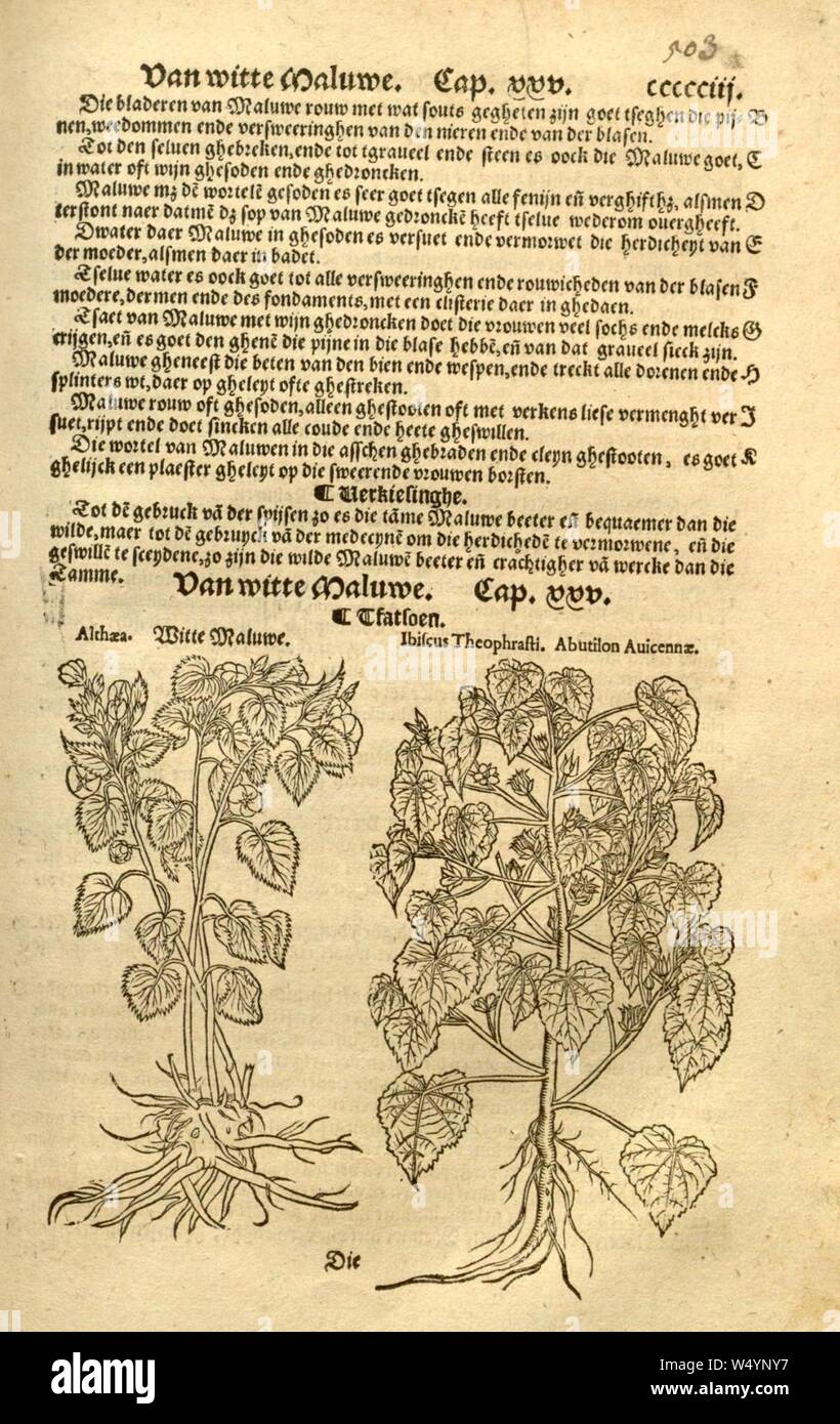 Diii hi-res stock photography and images - Alamy