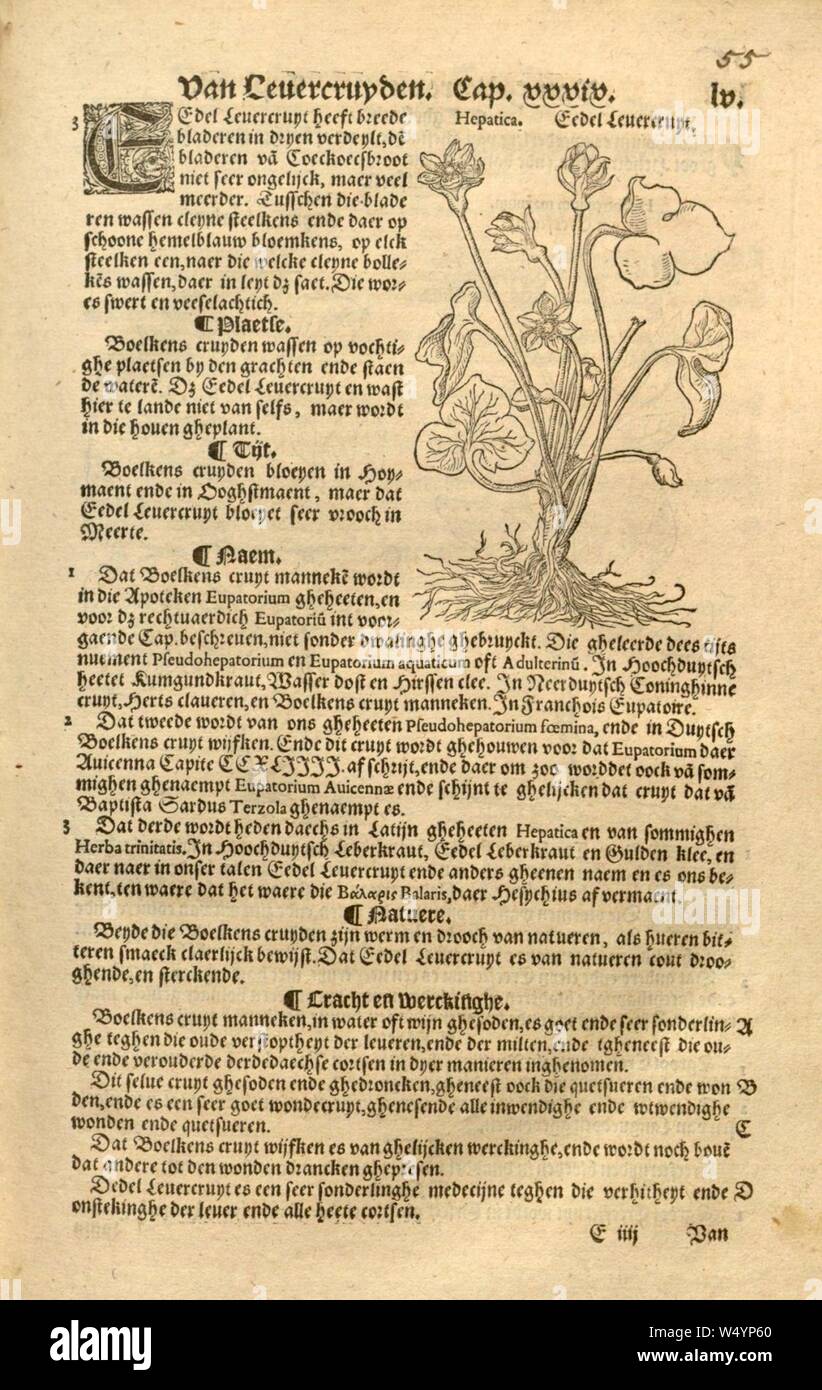 Lv page hi-res stock photography and images - Alamy