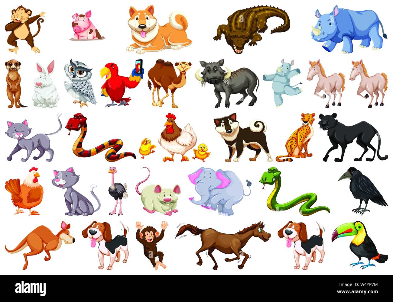 Diverse animals isolated on white hi-res stock photography and images ...