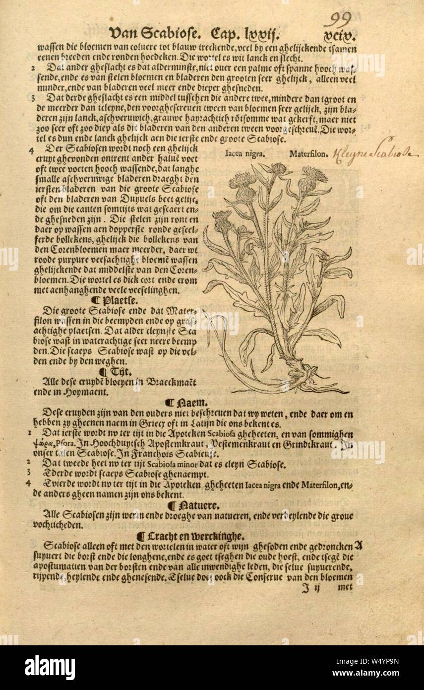 Xcix hi-res stock photography and images - Alamy