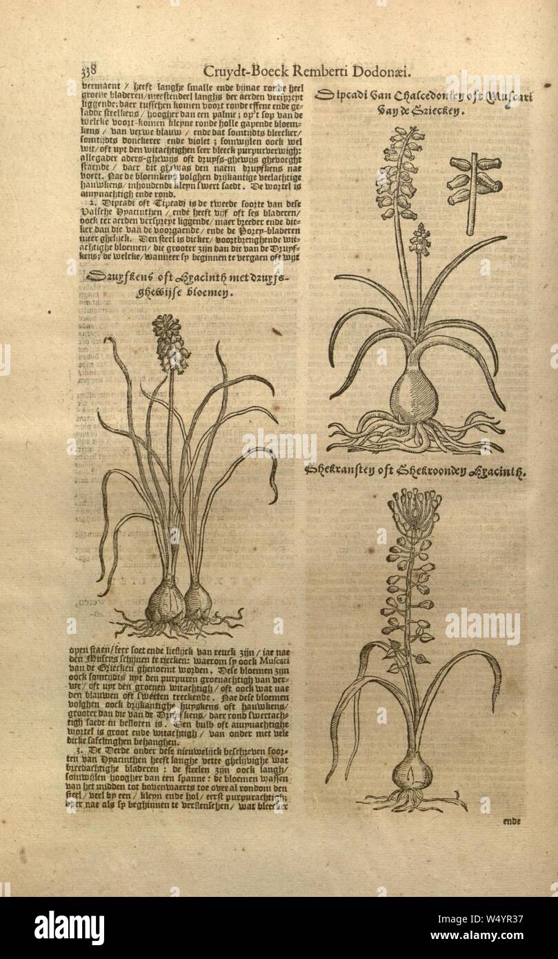 Cruydt-boeck Remberti Dodonaei volghens sijne laetste verbeteringhe ...
