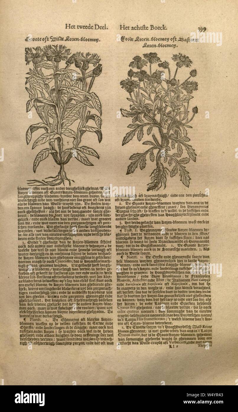 Cruydt-boeck Remberti Dodonaei volghens sijne laetste verbeteringhe ...