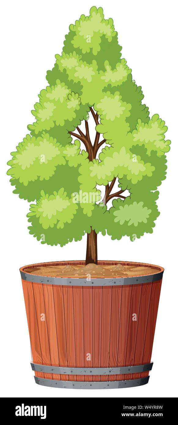 tree in pot plant illustration Stock Vector Image & Art - Alamy