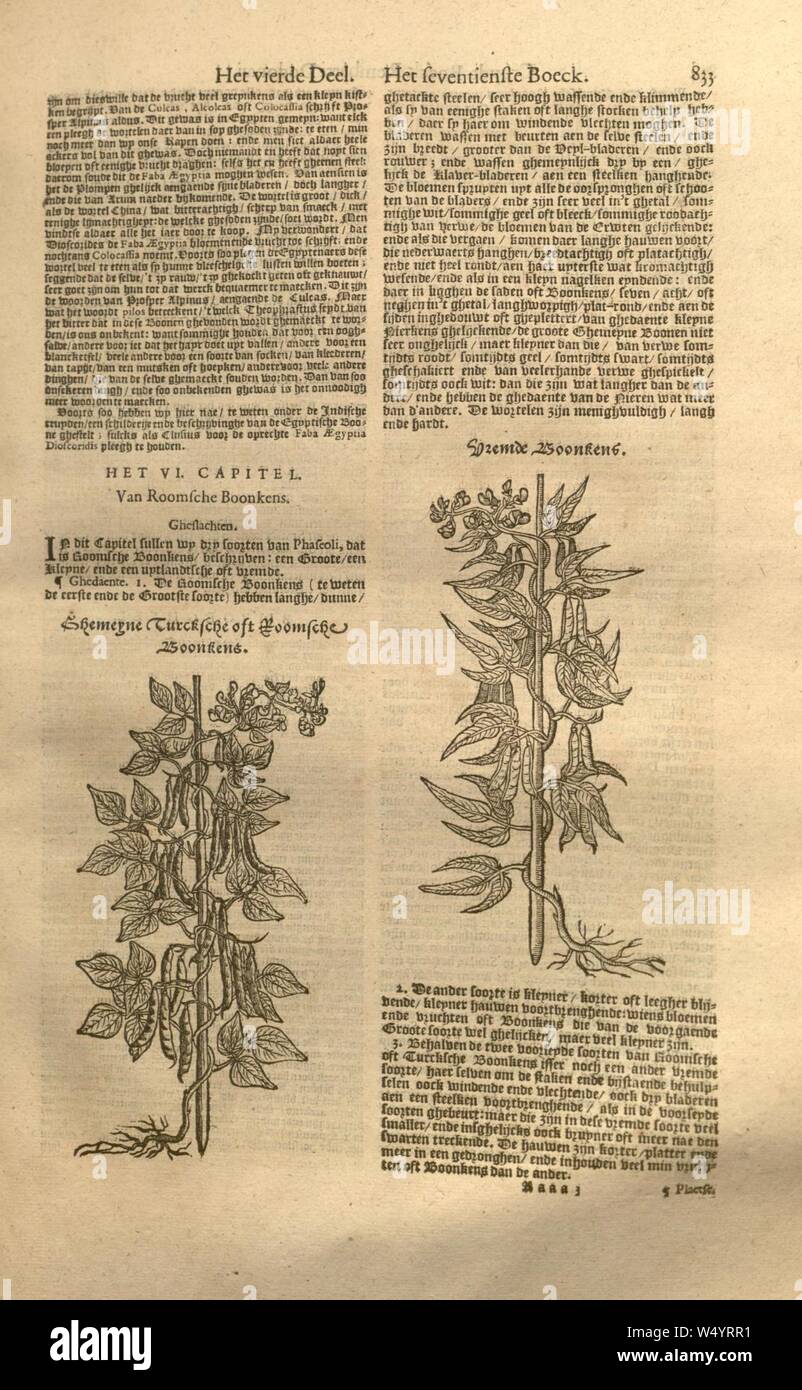 Cruydt-boeck Remberti Dodonaei volghens sijne laetste verbeteringhe ...