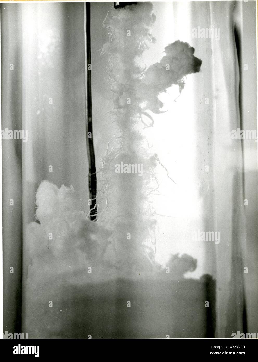 Carl robert croll hi-res stock photography and images - Alamy