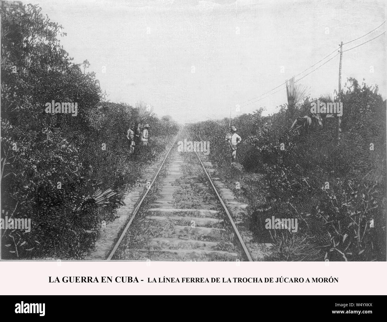 Jucaro moron hi-res stock photography and images - Alamy