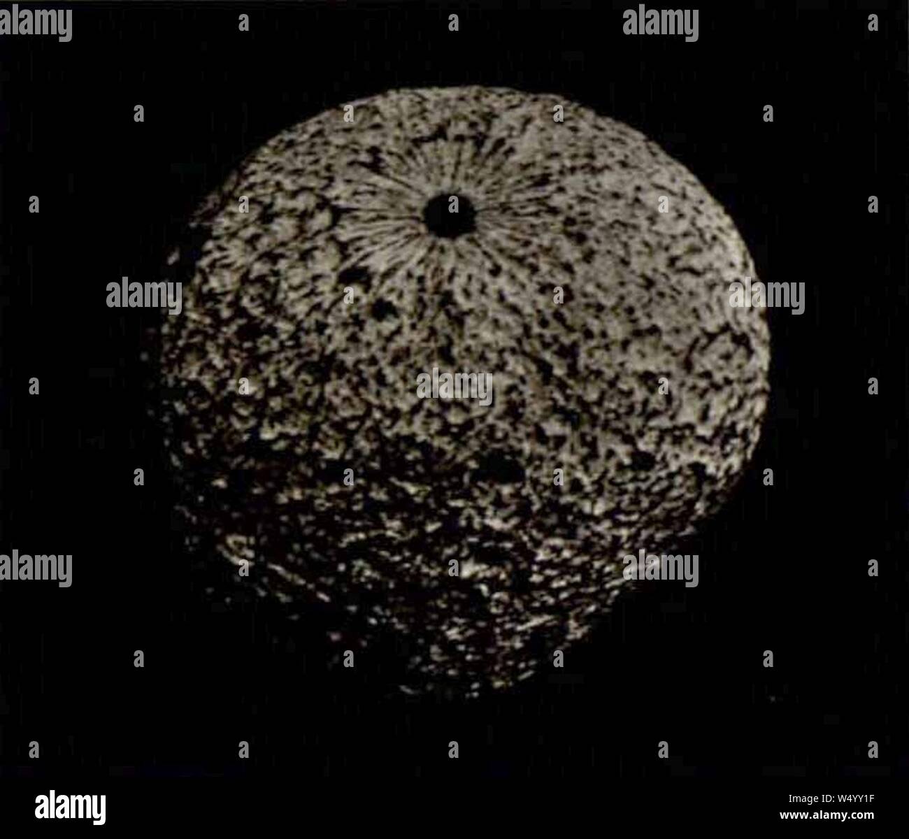 Cucumis humifructus fruit Stock Photo - Alamy