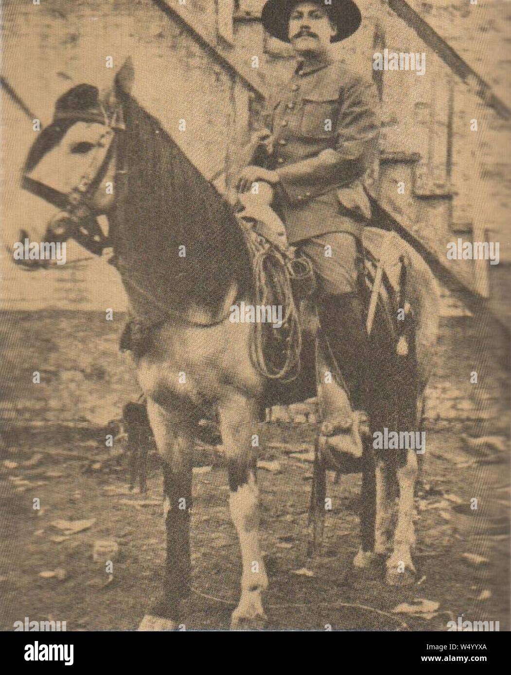 Coss hi-res stock photography and images - Alamy