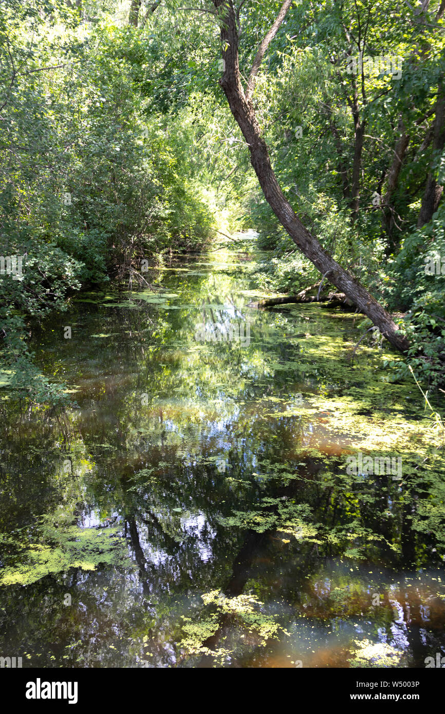 Quiet brook hi-res stock photography and images - Alamy