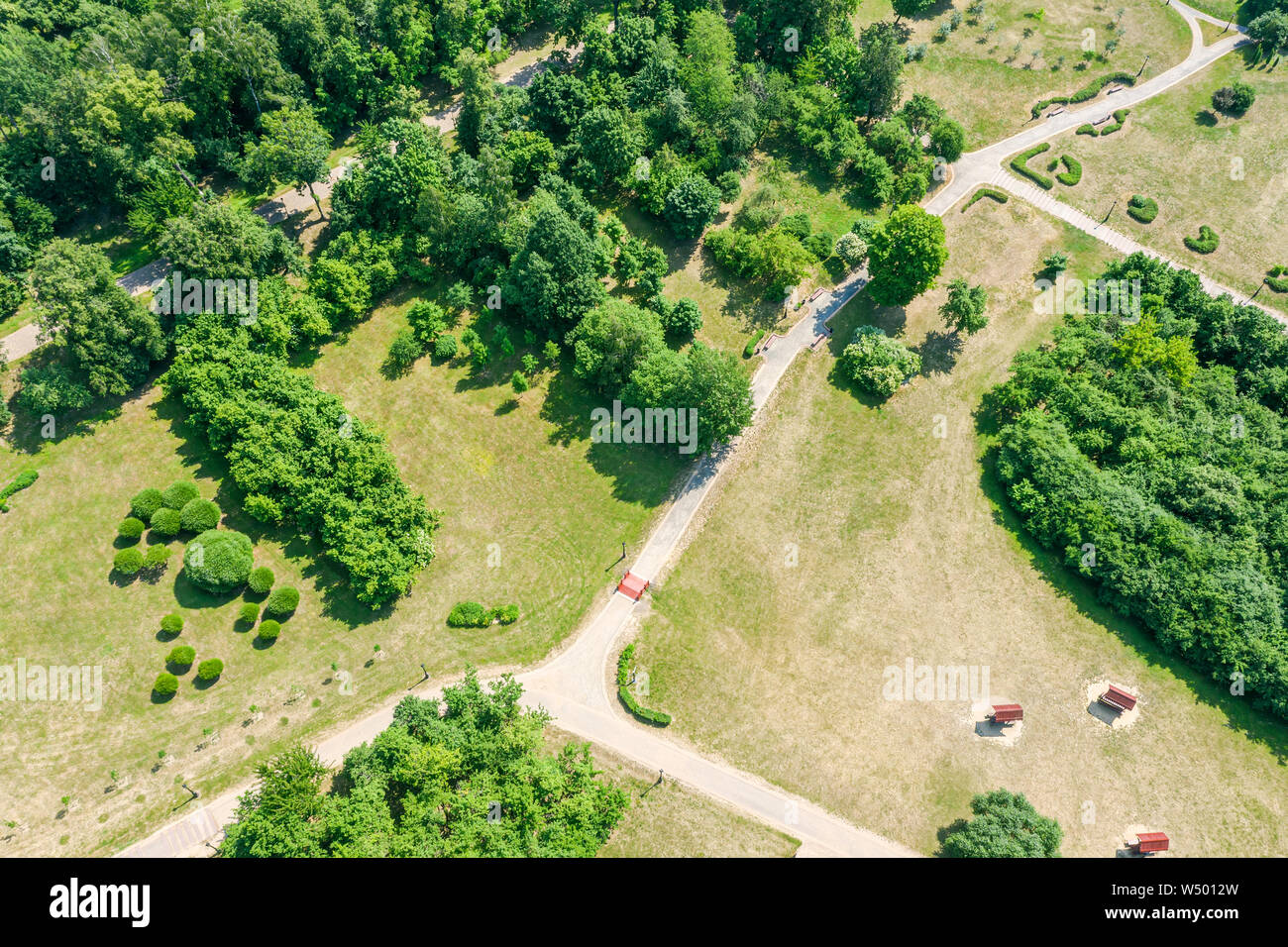 aerial top view of city park with green lawns and footpaths in summer ...