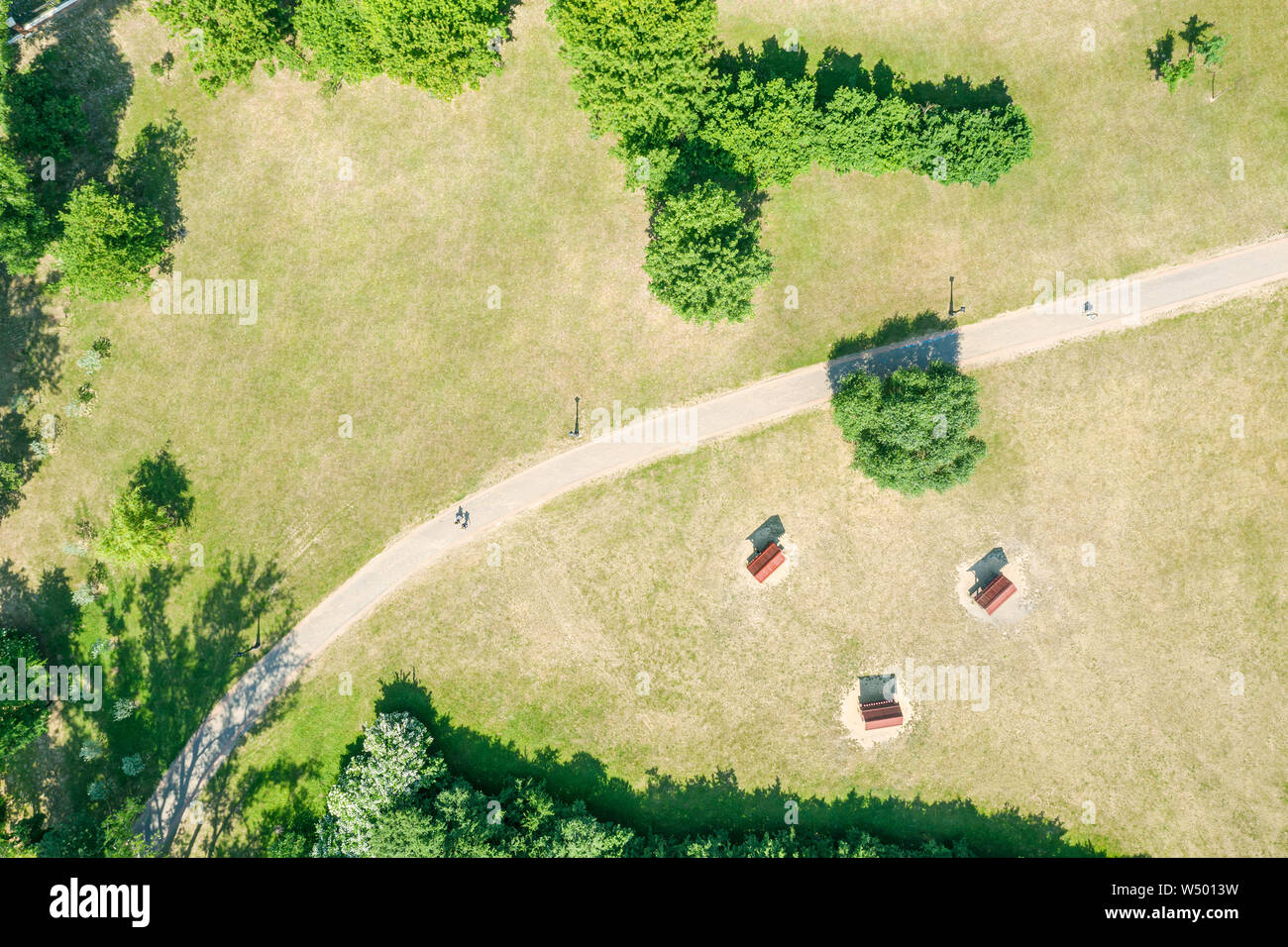 city park aerial top view. green bushy trees growing in park in summer ...