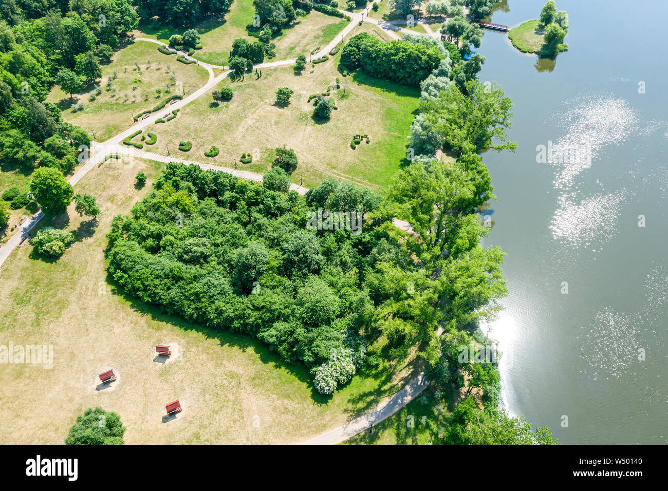 park landscape during sunny weather. aerial top view of trees ...