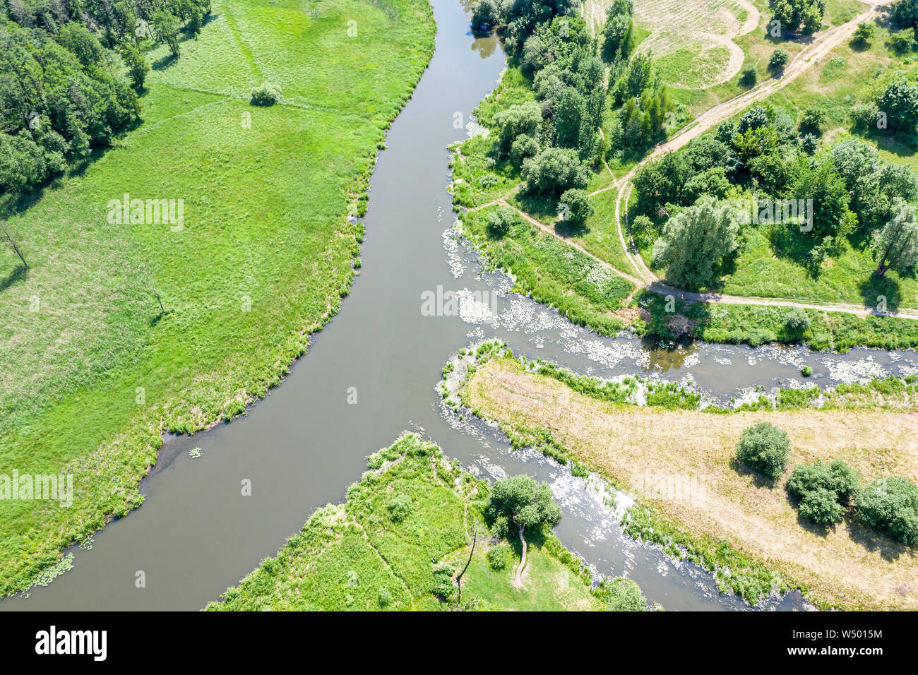 beautiful park landscape with green lawns, trees and river in sunny ...