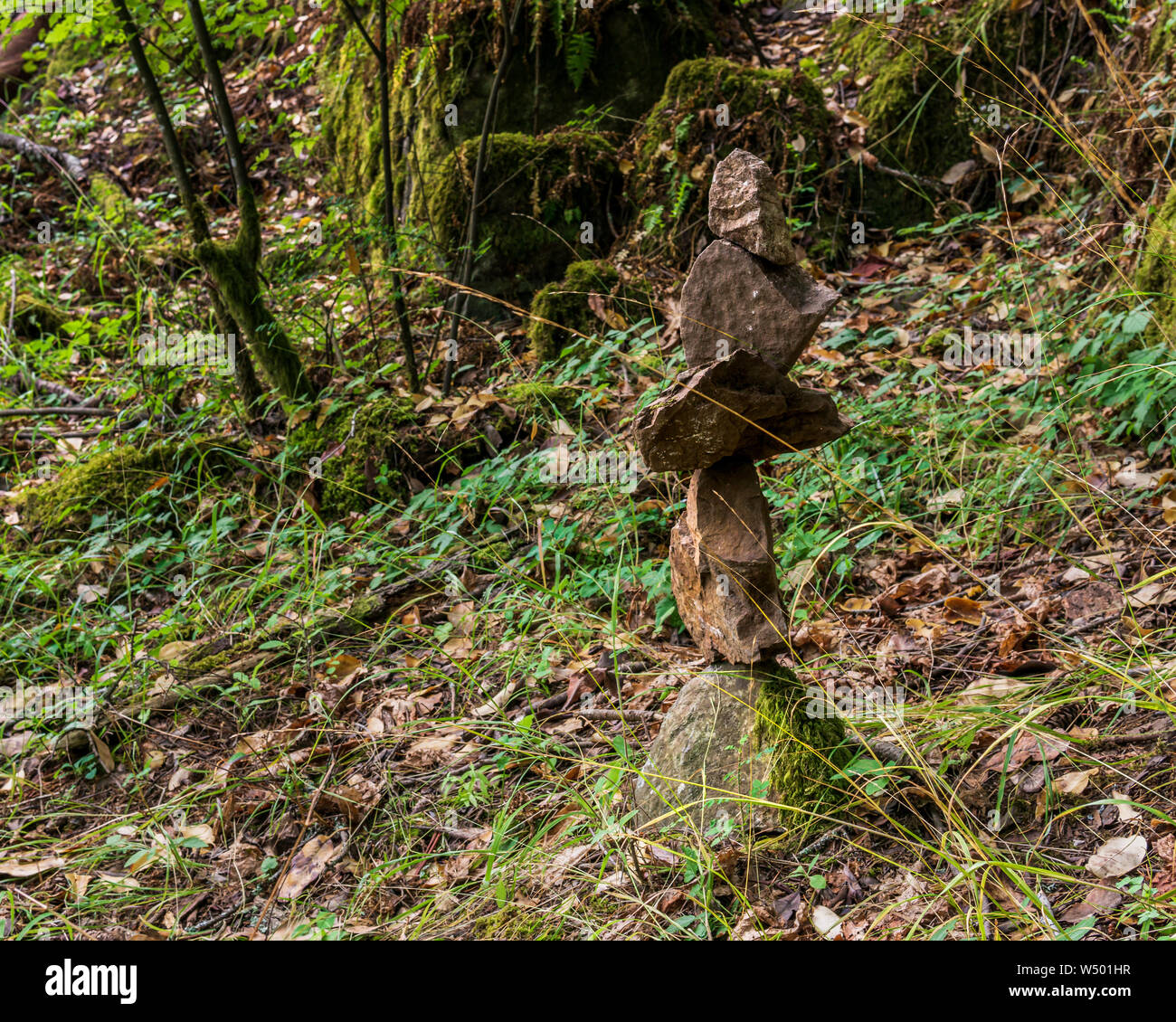 Balanced stone pyramid in green summer forest at vancouver island ...