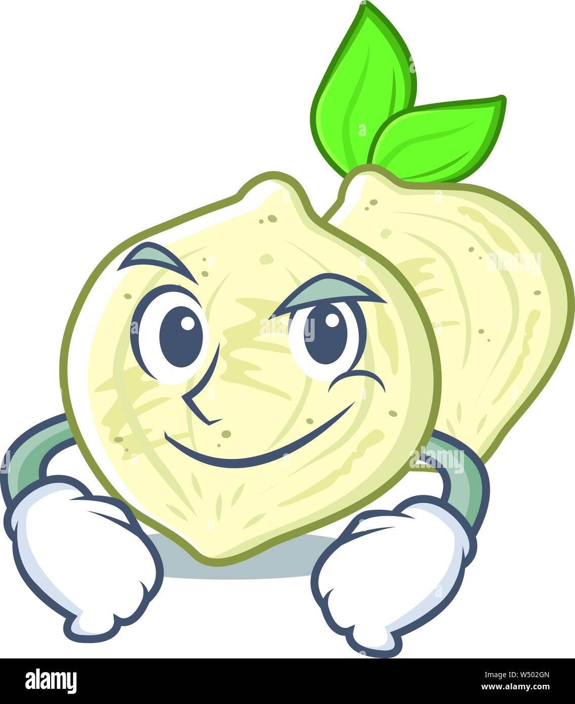 Smirking jicama slices in a cartoon bowl vector illustration Stock ...