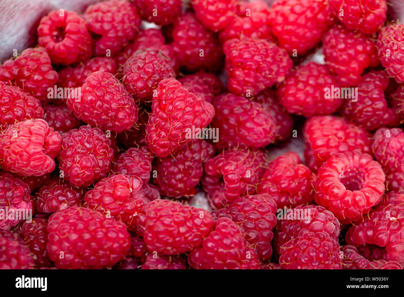 Colorful raspberry berries in hi-res stock photography and images - Alamy
