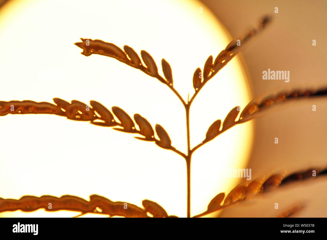 The sun beats down and bakes the earth Stock Photo - Alamy