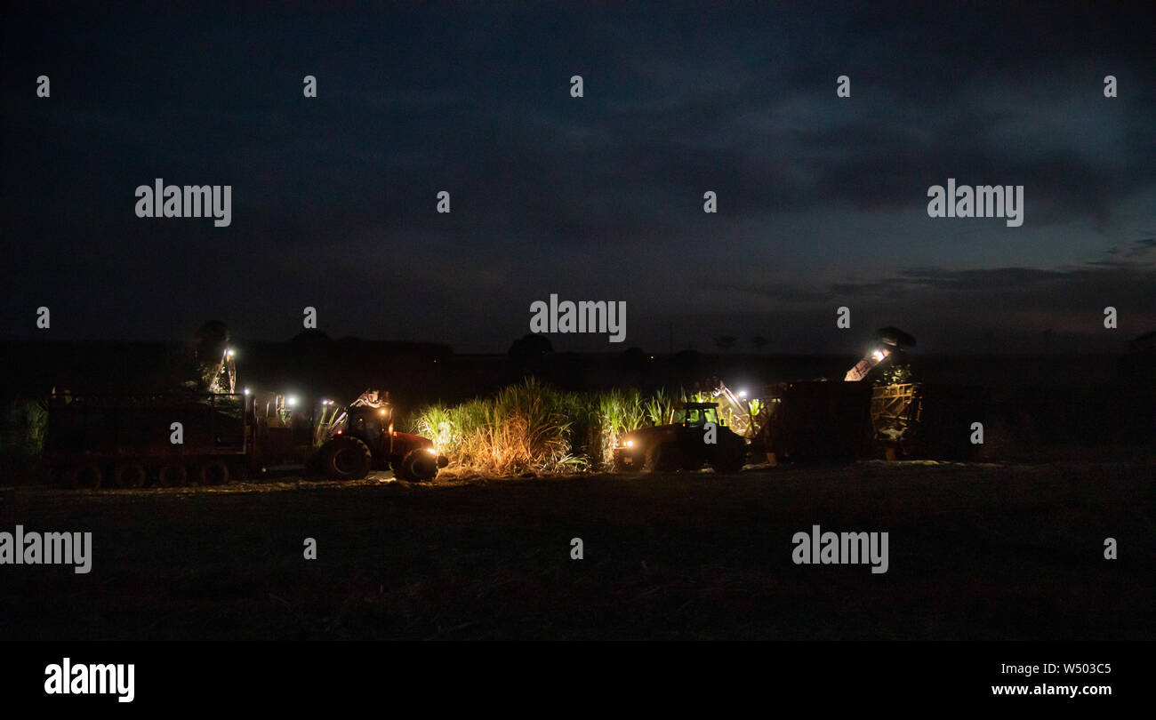 Sugar cane hasvest plantation night Stock Photo - Alamy