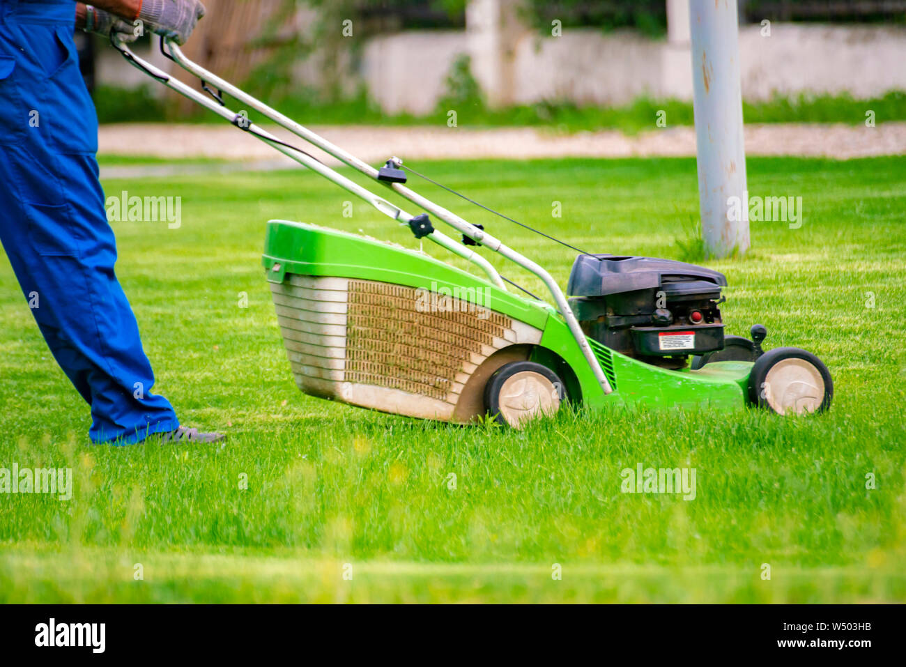 gardener worker cutting grass with mower in the backyard lawn field ...