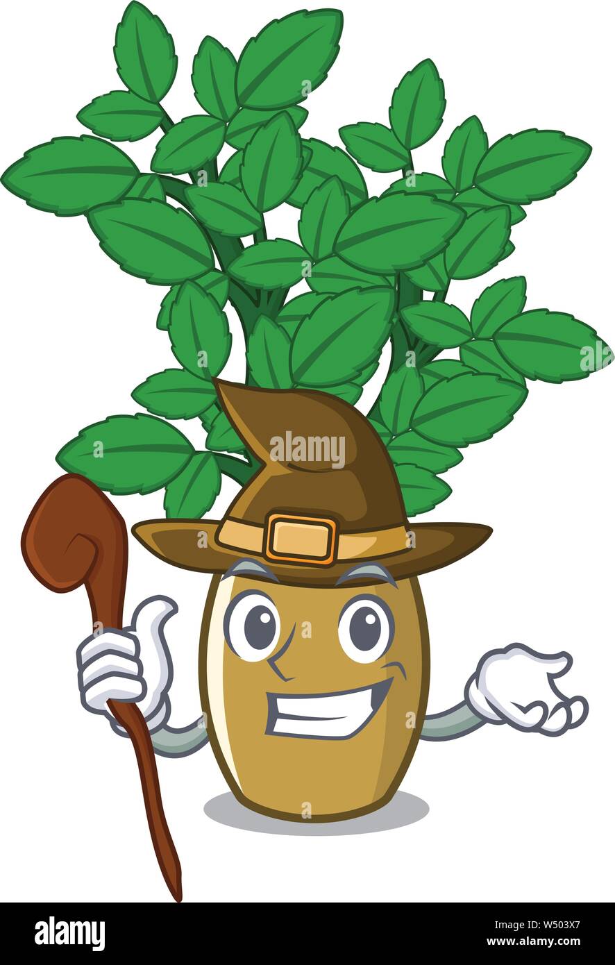 Witch lemon balm in the cartoon shape vector illustration Stock Vector ...