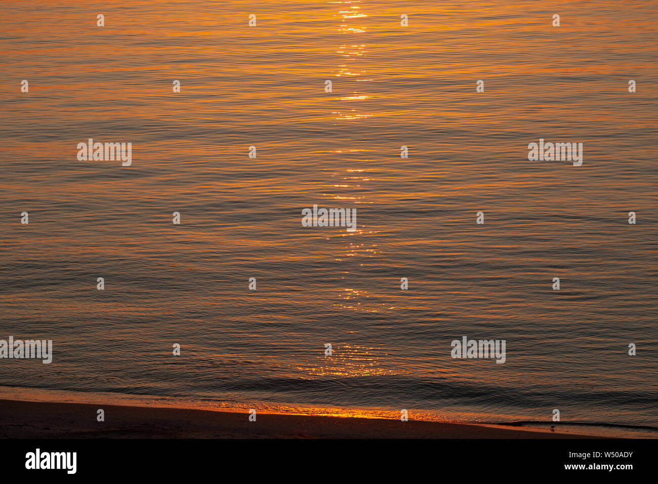 Low sunlight on ocean water, Florida Gulf Coast, USA Stock Photo - Alamy
