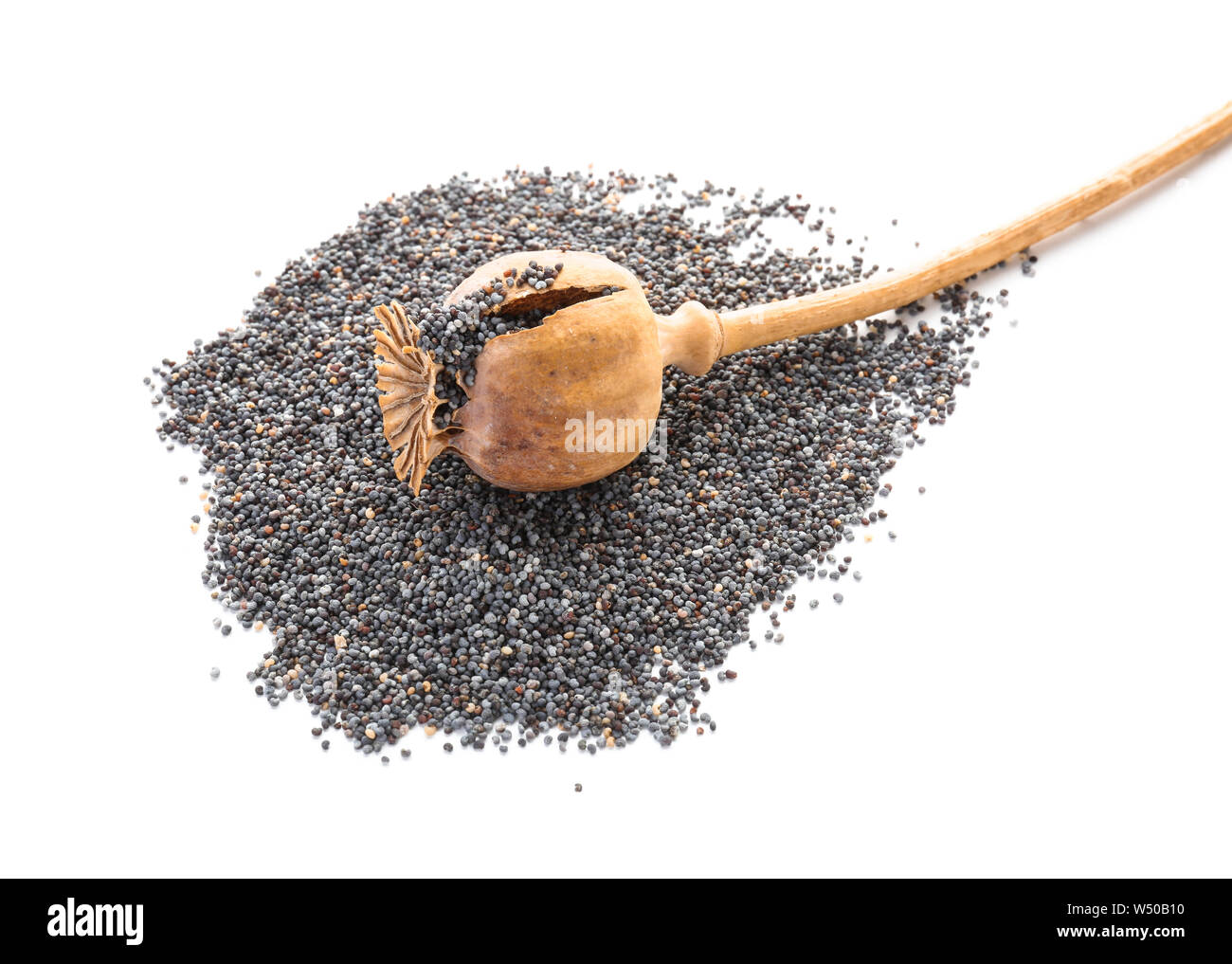 Dry poppy head and seeds on white background Stock Photo - Alamy