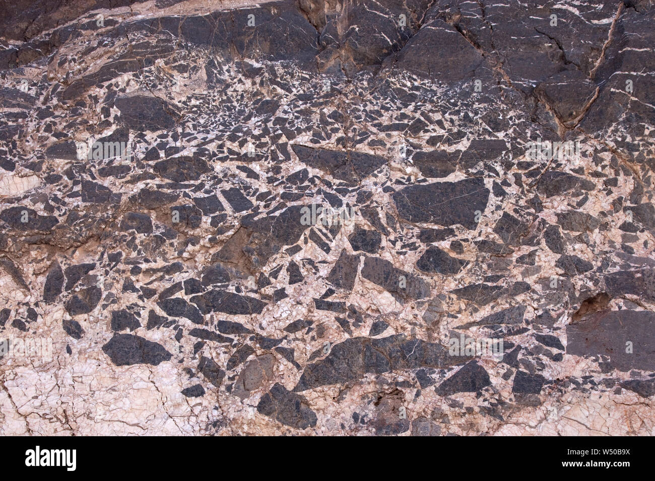 Sedimentary breccia, made of limestone fragments and a matrix of ...