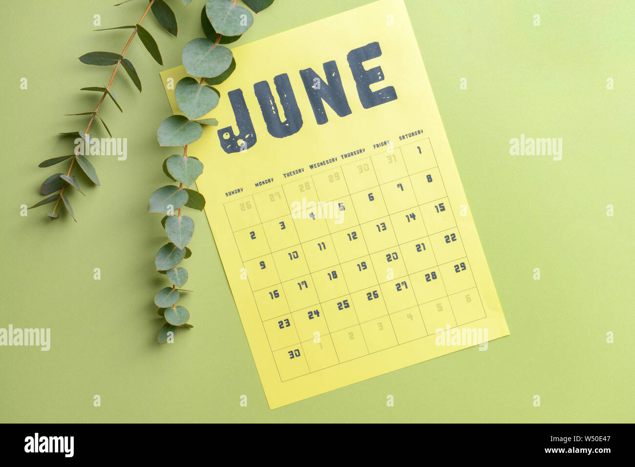 Paper calendar and eucalyptus branches on color background Stock Photo ...