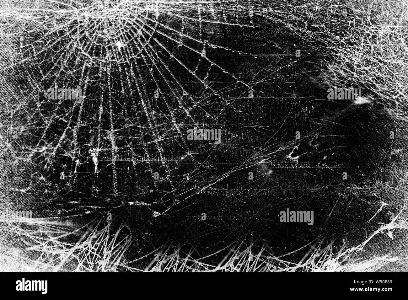 Spiderweb with spiders isolated on black grunge background. Halloween ...