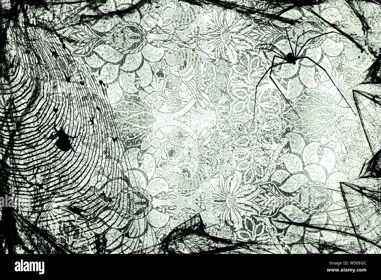 Spiderweb with spiders on gray floral background. Halloween party ...