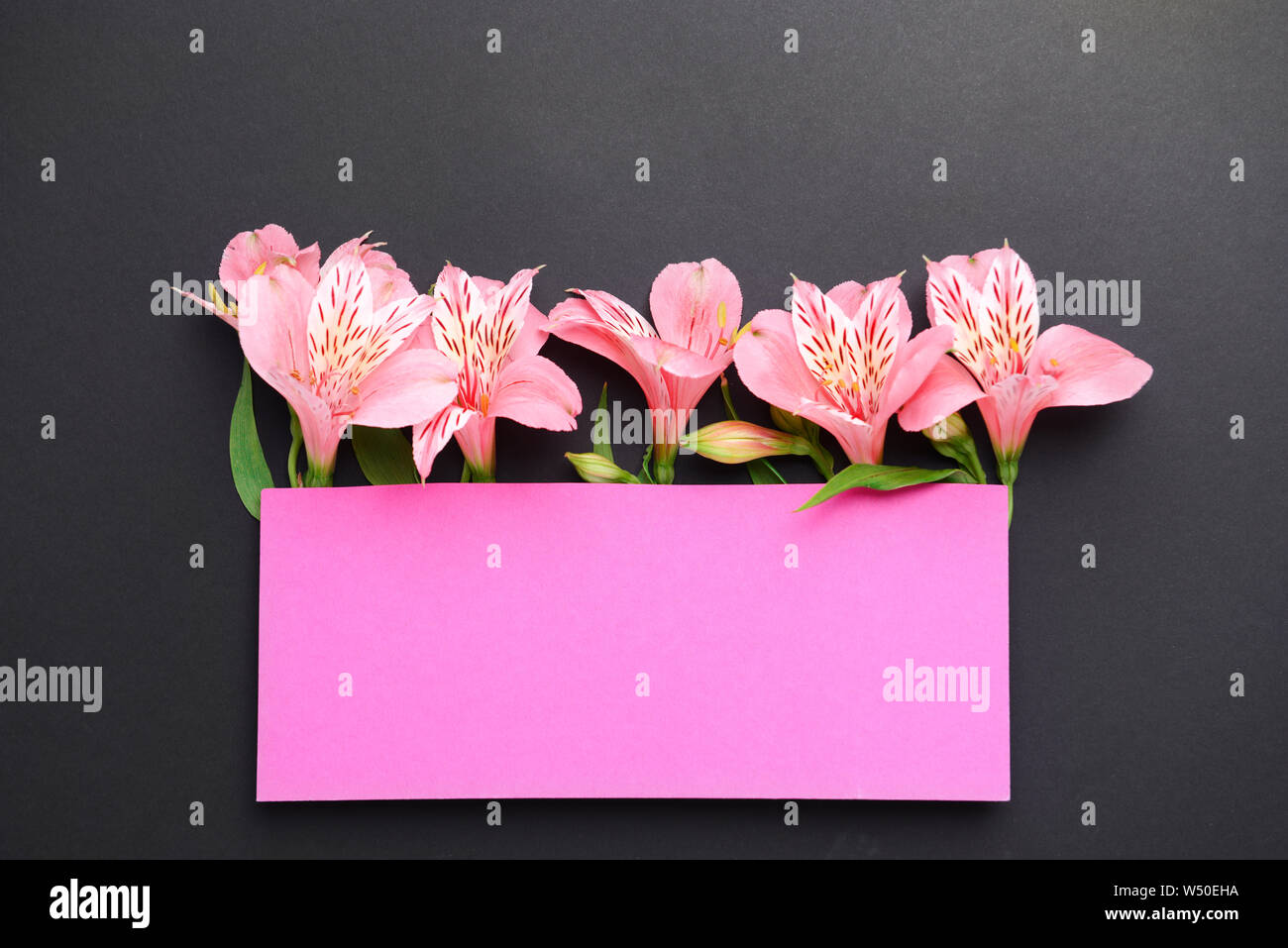 Empty greeting card with beautiful flowers on dark background Stock ...